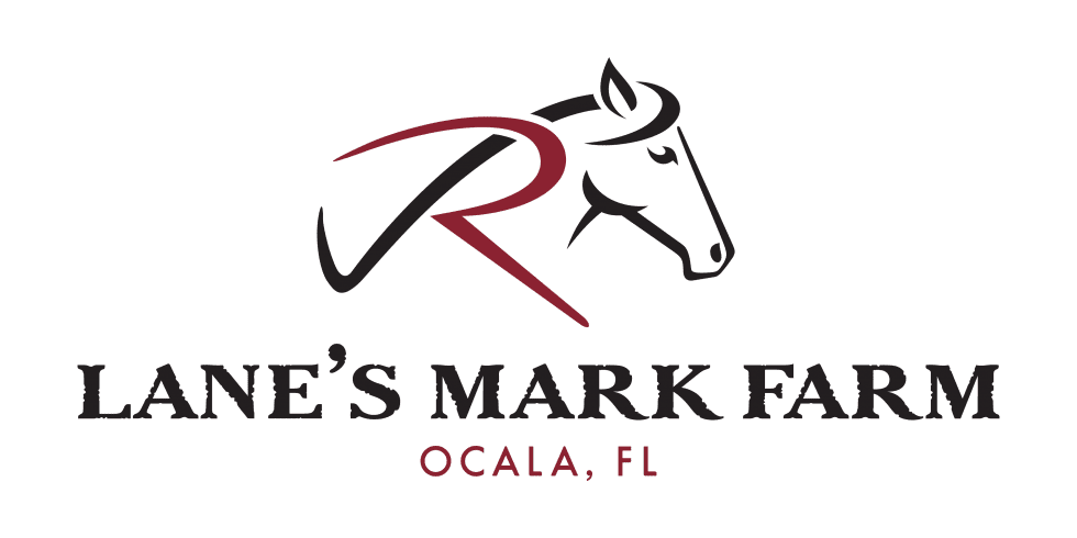 Horse Farms Forever Welcomes New Member Businesses - Horse Farms Forever