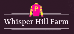 Meet Our New Founder, Mandy Pope - Horse Farms Forever