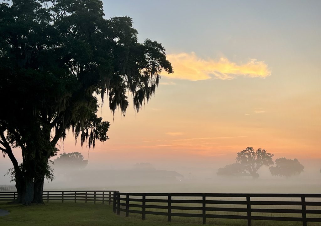 Just What Is The Farmland Preservation Area? - Horse Farms Forever