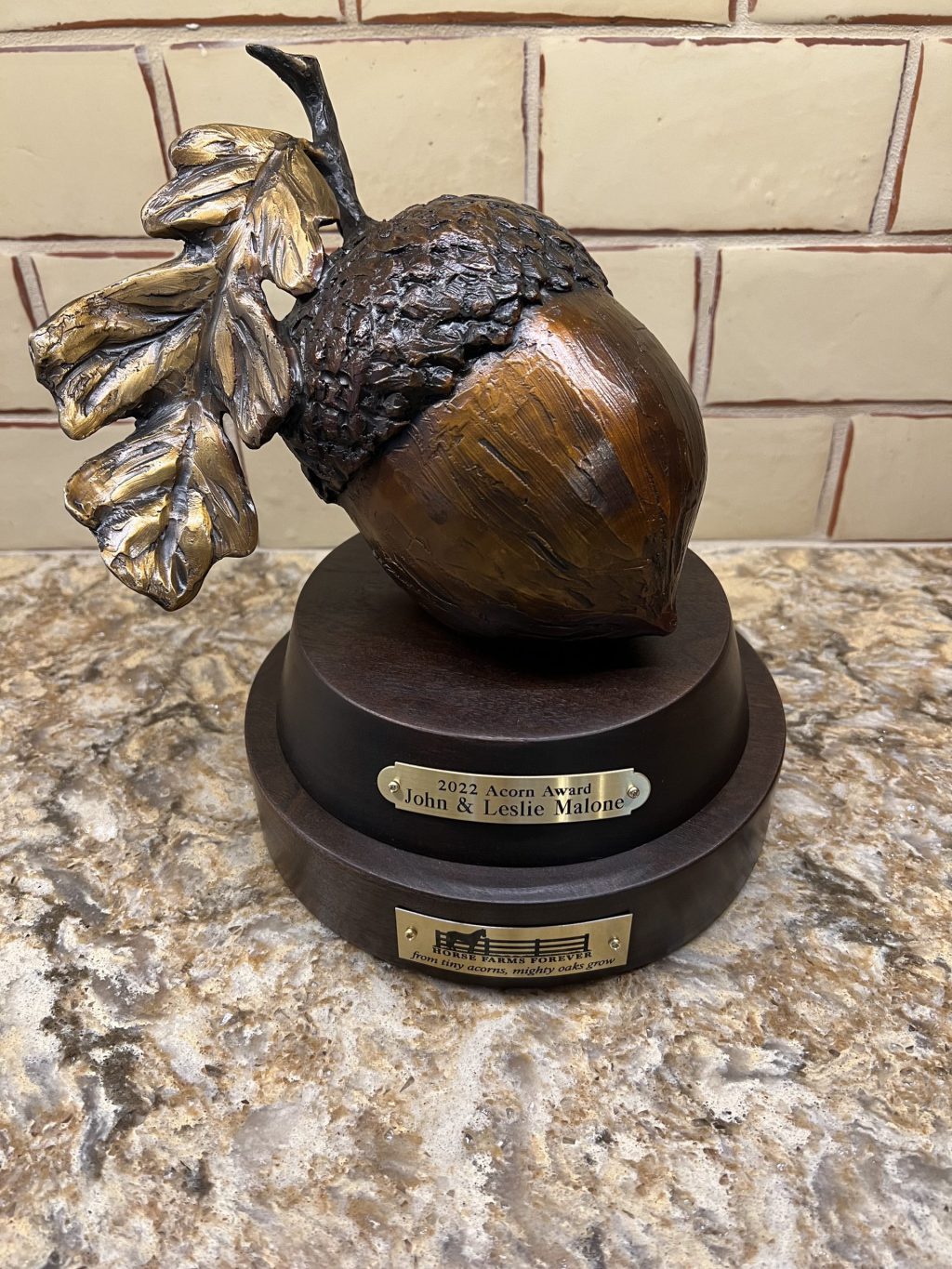 John and Leslie Malone To Receive The Acorn Conservation Award - Horse ...