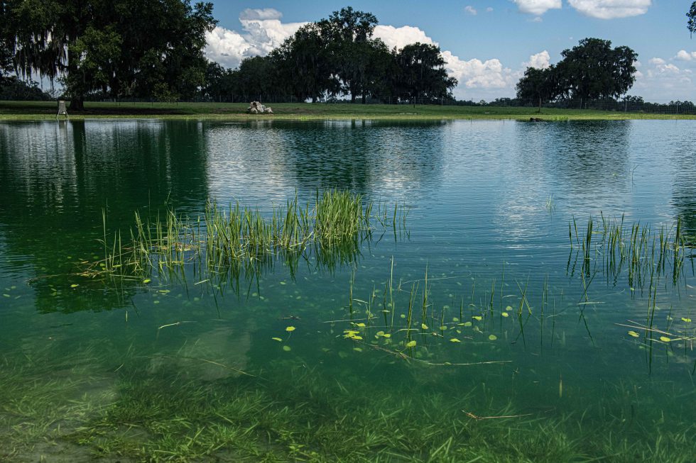 John and Shirley Rudnianyn Honored with the Acorn Conservation Award ...
