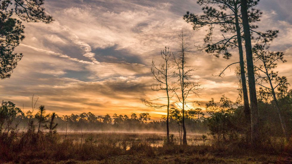 The Lasting Legacy of the Drake Ranch - Horse Farms Forever
