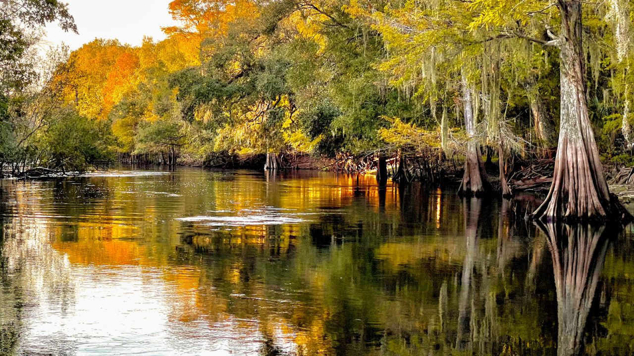 The Lasting Legacy of the Drake Ranch - Horse Farms Forever