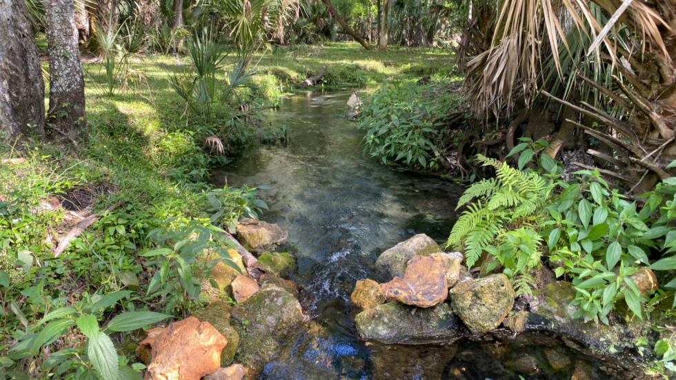 The Lasting Legacy of the Drake Ranch - Horse Farms Forever