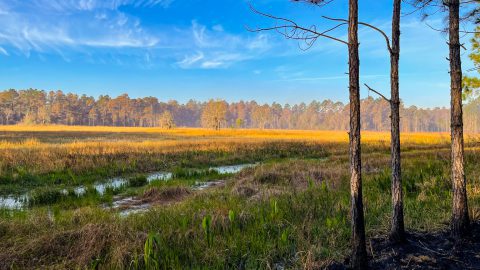 The Lasting Legacy of the Drake Ranch - Horse Farms Forever