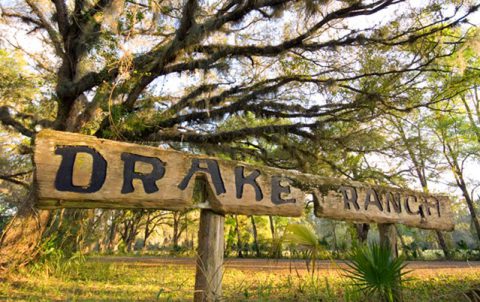 The Lasting Legacy of the Drake Ranch - Horse Farms Forever
